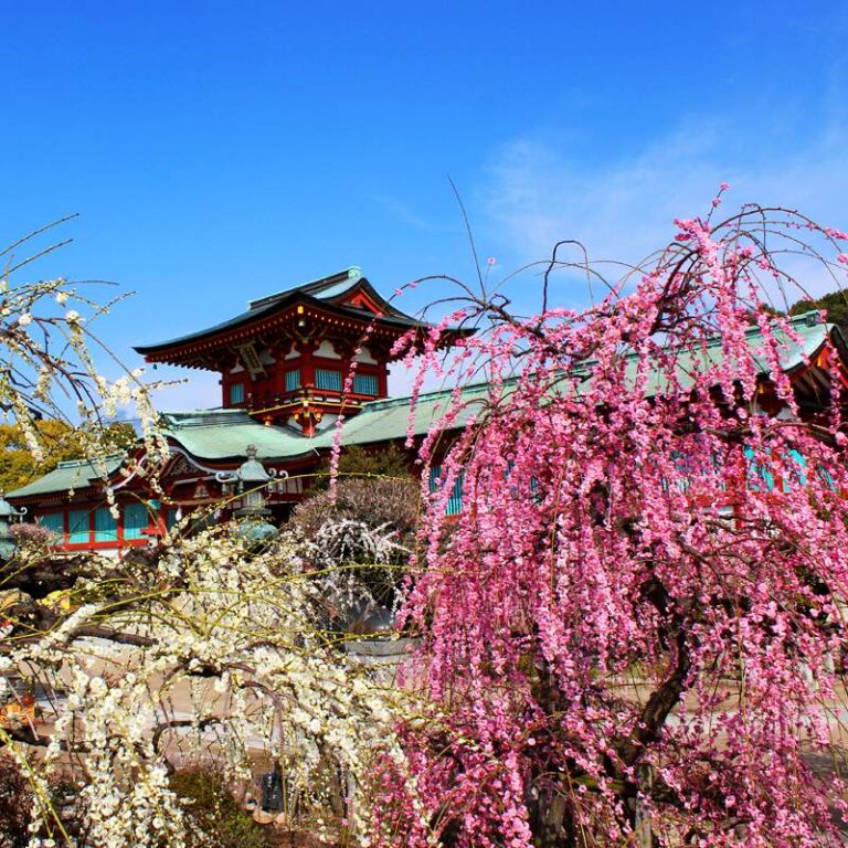 Hofu Tenmangu Shrine - visit-hofu