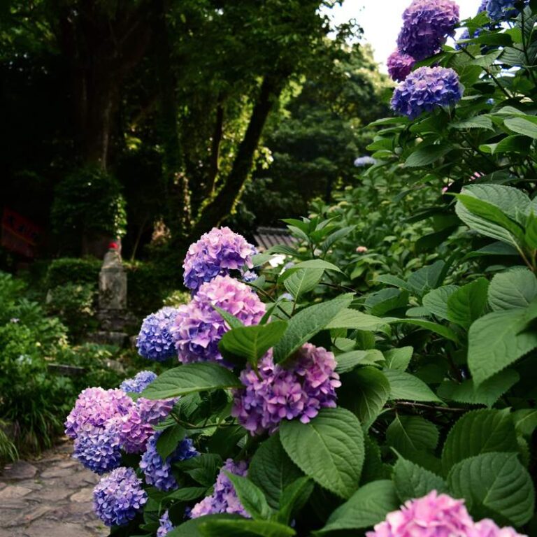 Amidaji Temple - visit-hofu